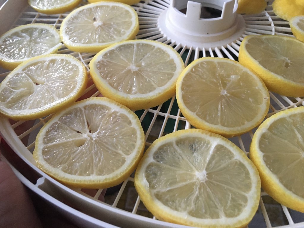 Dehydrated Lemon Slices For An Easy Trail Beverage | Must Hike Must Eat